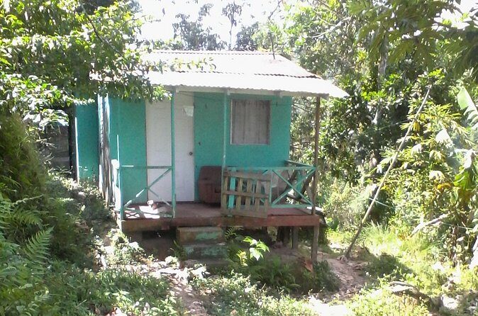 Negril Country Side Tour & Rick's Cafe - Final Thoughts