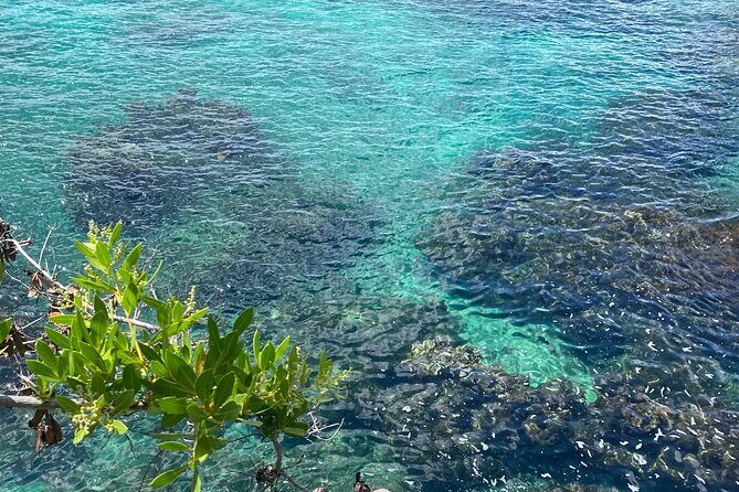 Negril day! beach and west end Cliffs with French Guide - Final Thoughts: Who Will Love This Tour?