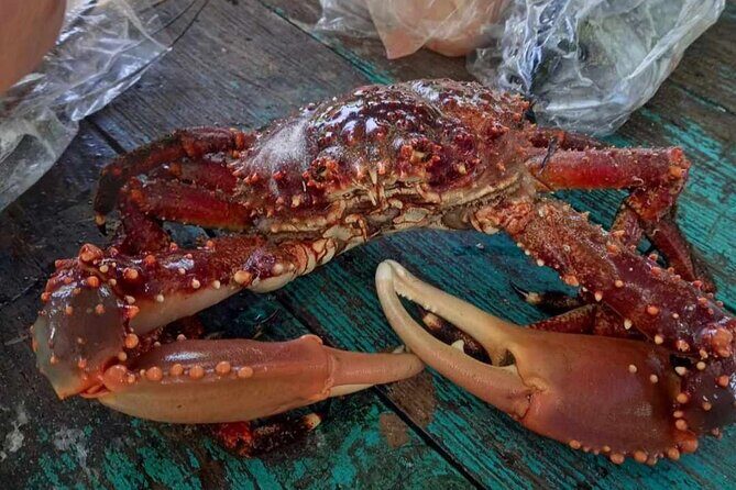 Negril Lobster Lunch on Booby Cay & Snorkeling To a Sunken Cannon - The Sum Up