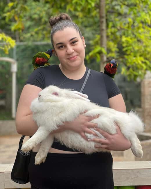 Negril Marijuana Farm and Mineral Spring Tour - The Sum Up: Who Should Book This Tour?