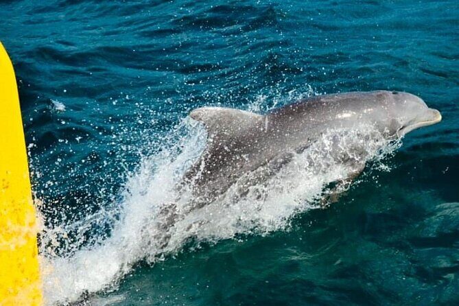 Negril: MORNING FAMILY Cruise Caves Swimming Snorkeling - Starting the Day with a Catamaran Ride