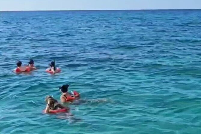 Negril: MORNING FAMILY Cruise Caves Swimming Snorkeling - Authenticity and Overall Experience
