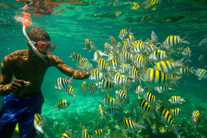 Negril Seven Miles Beach, Snorkeling, Boat Ride, Ricks Cafe Combo - Authentic Experiences and Guest Feedback