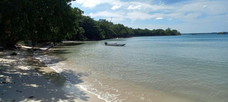 Negril Seven Miles Beaches| Lighthouse & Rik's Cafe Sun Set - Why This Tour Offers Real Value