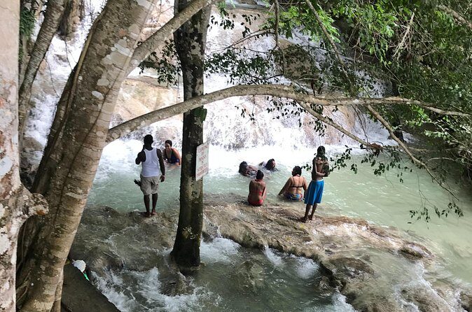 Negril to Dunn's River Small Group Tour - What to Expect from the Itinerary