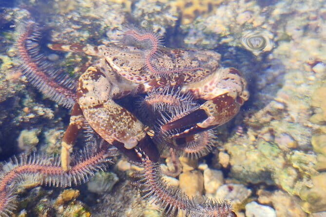 Neil Bridge Marine Trail - An Introduction to the Neil Bridge Marine Trail Experience