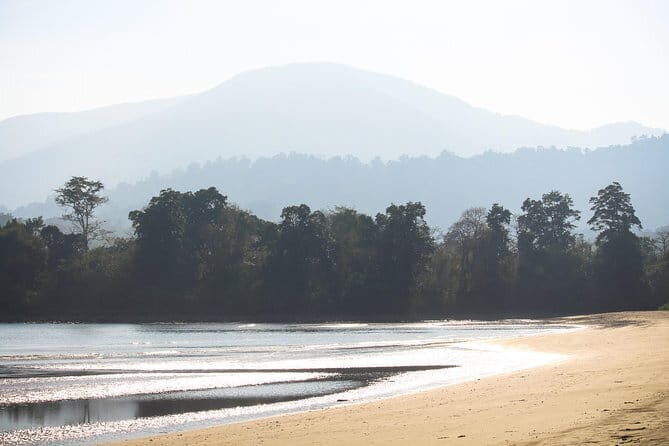 Neil Bridge Marine Trail - Authentic Feedback from Travelers