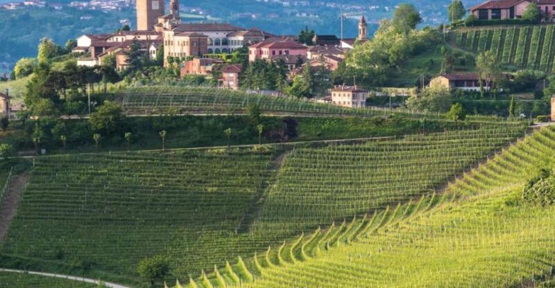 Neive: Cycling Tour from Neive to Barbaresco - An In-Depth Look at the Itinerary
