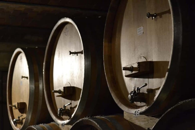 NEIVE: WINERY TOUR AND TASTING 5 WINES - Exploring the Neive Winery Tour and Tasting: An Authentic Piedmont Experience