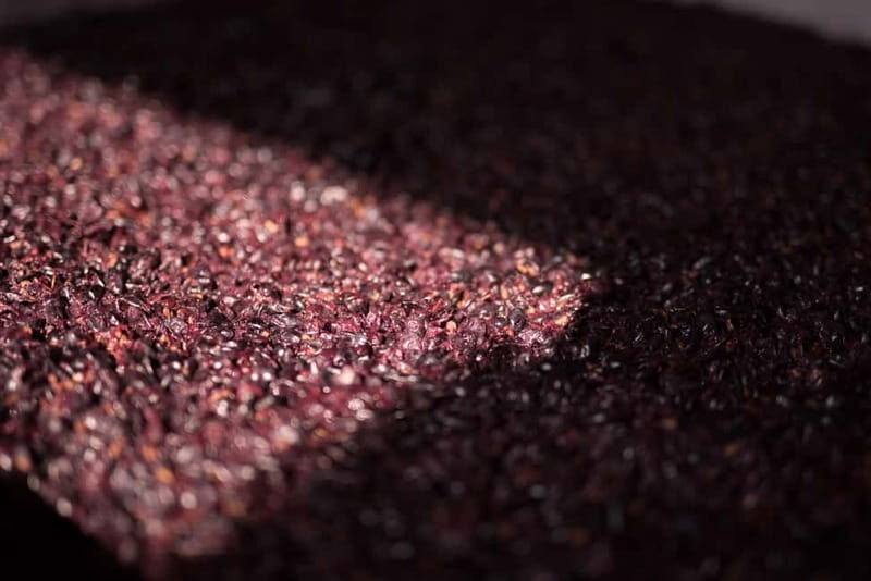 NEIVE: WINERY TOUR AND TASTING 5 WINES - The Sum Up: A Genuine Piedmont Vineyard Experience