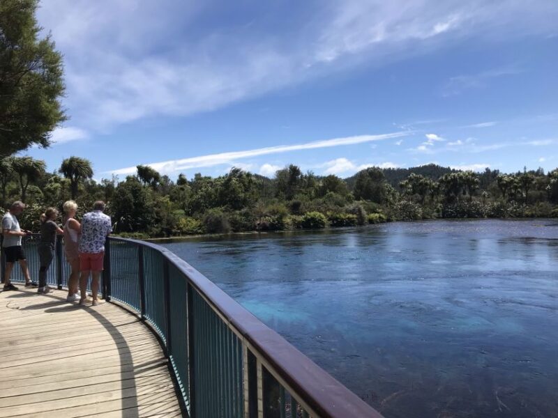 Nelson: Abel Tasman Cruise-Fly Day Tour - Analyzing the Value