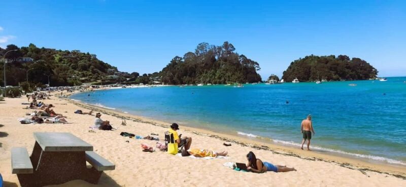 Nelson: Abel Tasman Cruise-Fly Day Tour - Who Will Love This Tour?