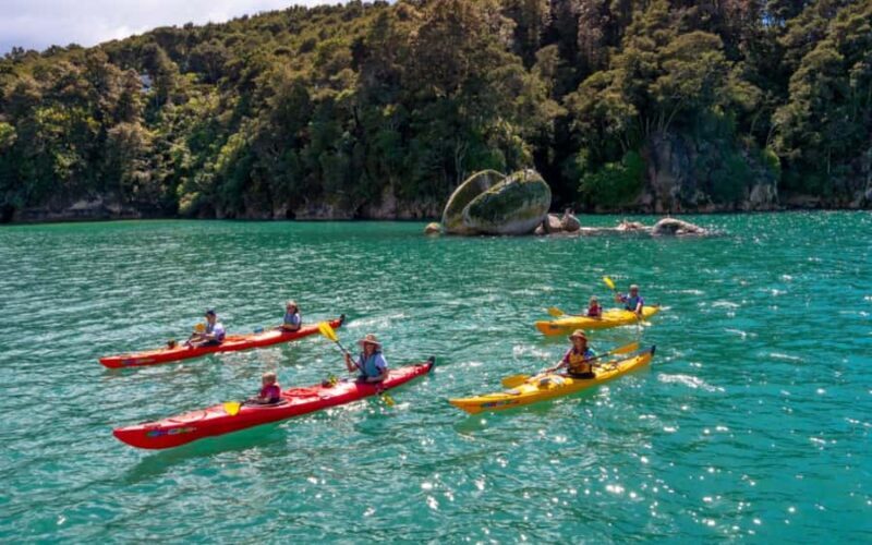 Nelson: Abel Tasman Kayaking & Great Taste Trail Bike Tour - Key Points