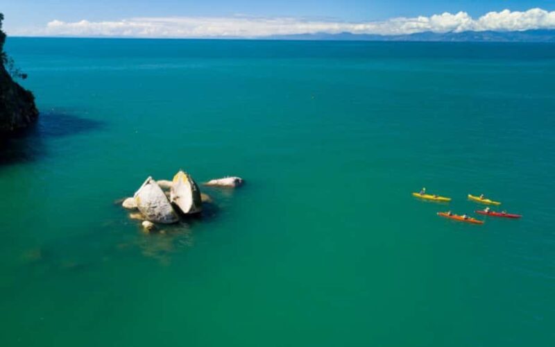 Nelson: Abel Tasman Kayaking & Great Taste Trail Bike Tour - Why This Tour Offers Great Value
