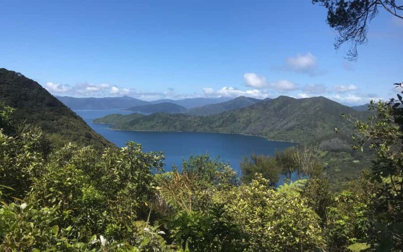 Nelson: Abel Tasman Kayaking & Great Taste Trail Bike Tour - The Sum Up