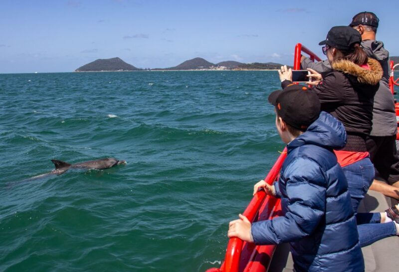Nelson Bay: 1hr Dolphin Watch Express - Nelson Bay: 1hr Dolphin Watch Express - In-Depth Review