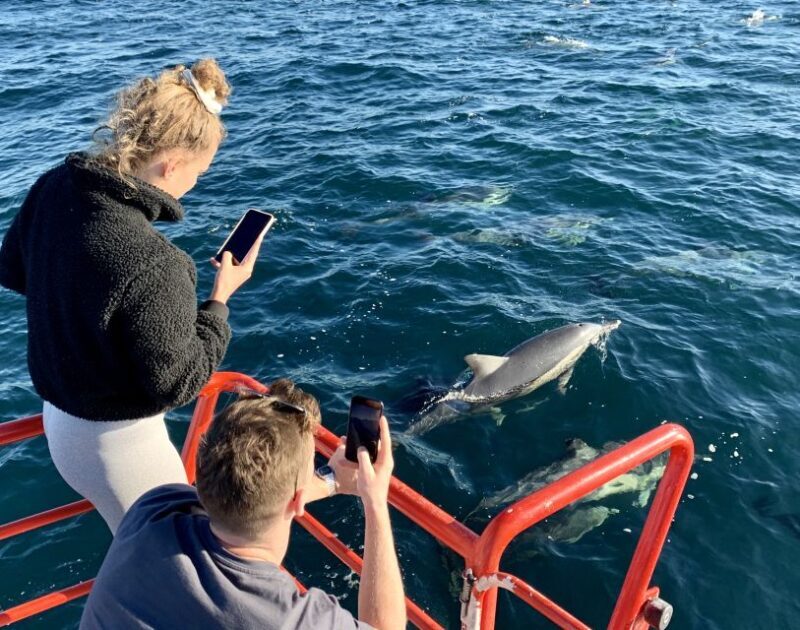 Nelson Bay: 1hr Dolphin Watch Express - Who Is This Tour Best For?