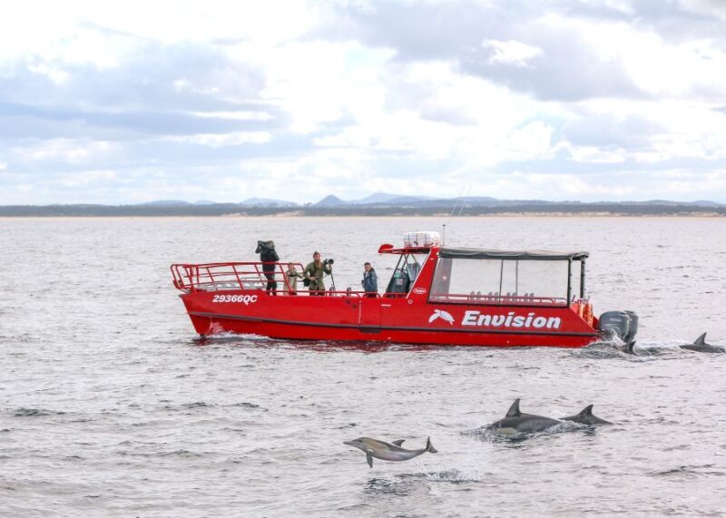 Nelson Bay: 1hr Dolphin Watch Express - FAQ