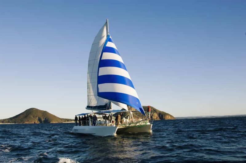 Nelson Bay: Dolphin Watch Cruise and Sail - The Itinerary and What You’ll Experience