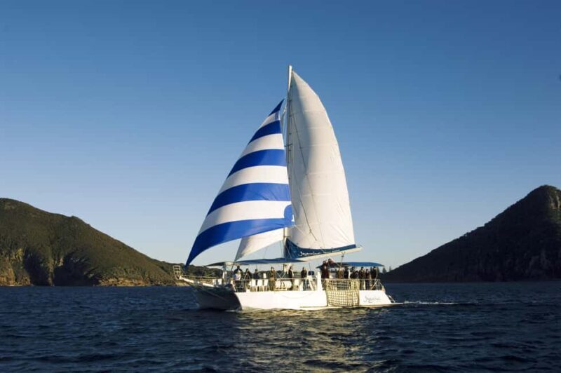 Nelson Bay: Dolphin Watch Cruise and Sail - The Practical Side: What to Know Before You Go