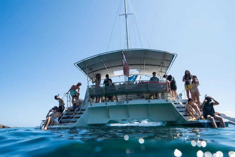 Nelson Bay: Marine Discovery Cruise with Snorkeling - Key Points
