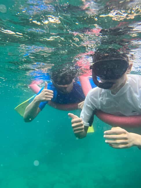 Nelson Bay: Marine Discovery Cruise with Snorkeling - What the Tour Entails