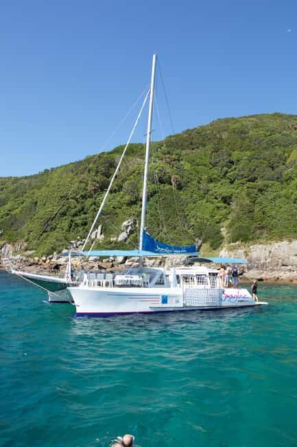 Nelson Bay: Marine Discovery Cruise with Snorkeling - The Itinerary Breakdown