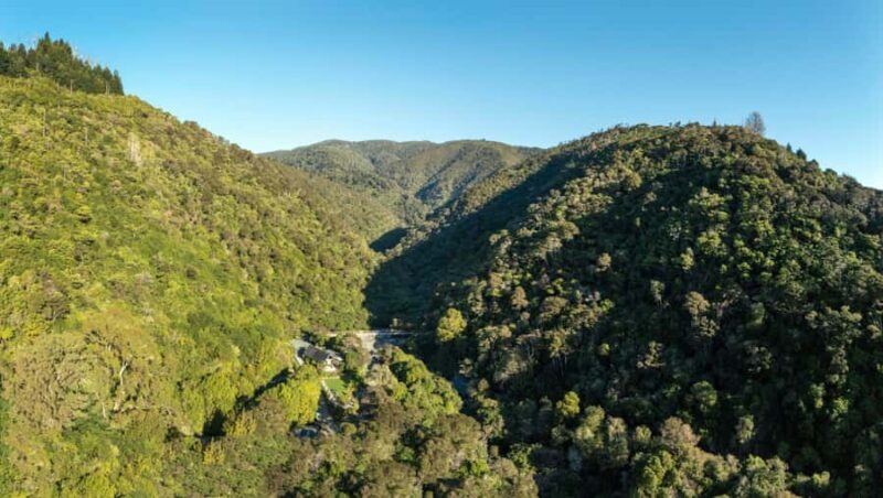 Nelson: Brook Waimrama Sanctuary Entry Ticket - Introduction to the Brook Waimrama Sanctuary