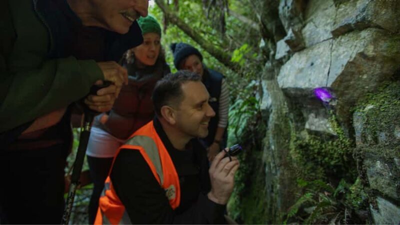 Nelson: Brook Waimrama Sanctuary Guided Night Walk - The Guides and Their Knowledge