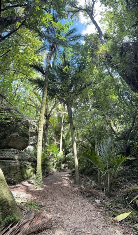 Nelson: Cruise Abel Tasman National Park to Golden Bay Tour - How It All Comes Together