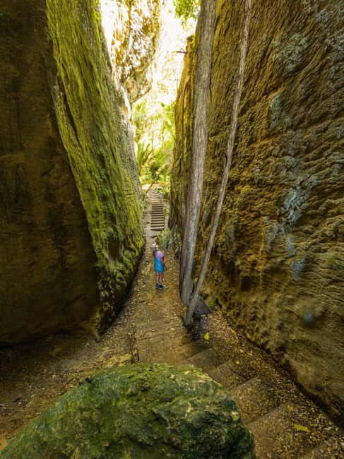 Nelson: Golden Bay in a Day Tour - What Makes This Tour Stand Out