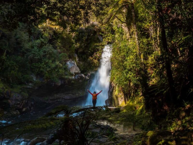 Nelson: Golden Bay in a Day Tour - The Ideal Candidate for This Tour