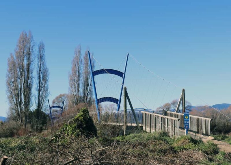 Nelson: Great Taste Trail Coastal Bike Ride to Mapua - Who Will Love This Tour?