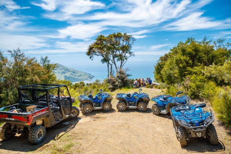 Nelson: Guided Quad Biking Tour Through Forest and Farmland - The Experience in Detail