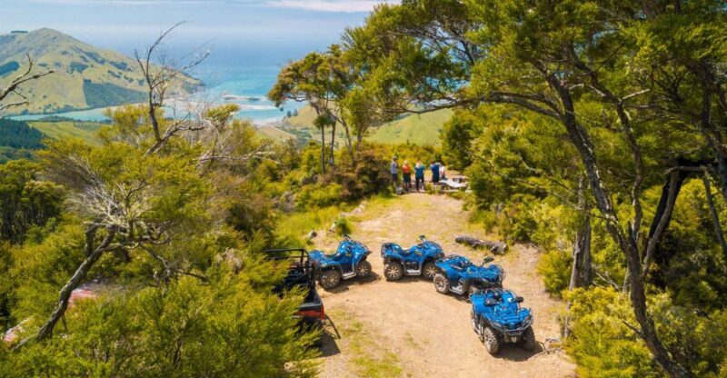Nelson: Guided Quad Biking Tour Through Forest and Farmland - Final Thoughts: Who Should Consider This Tour?