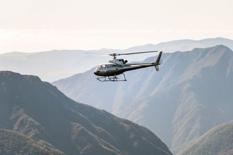Nelson: Helicopter Flight with Mountain Landing & Bay Views - Whats Included and Practical Tips