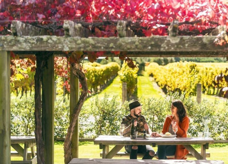 Nelson: Marlborough Wine Tour with Tastings and Lunch - The Scenic Drive and Nature Breaks