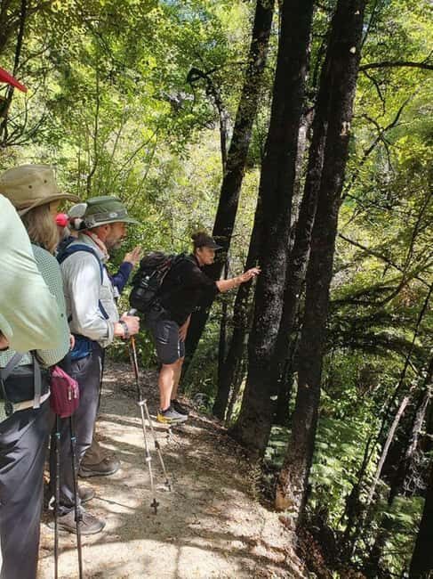 Nelson: Nelson Lakes National Park Day Trip with Lunch - What to Expect on the Day