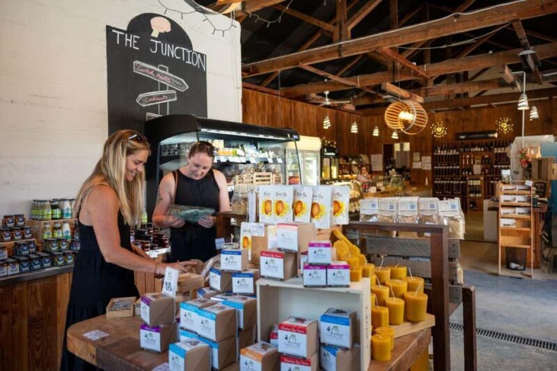 Nelson: Taste Tasman Food & Wine Tour with Lunch & Tastings - An In-Depth Look at What to Expect