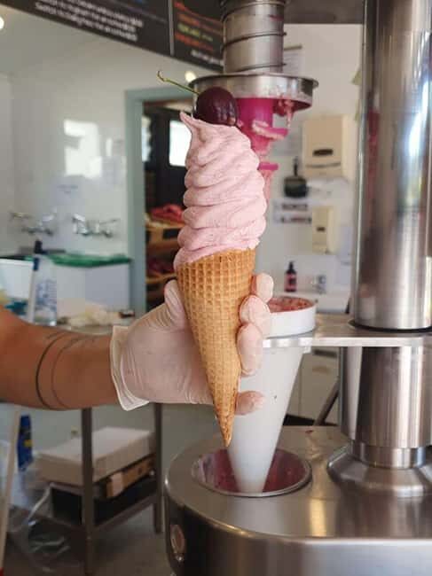 Nelson: Taste Tasman Food & Wine Tour with Lunch & Tastings - Who Will Love This Tour?