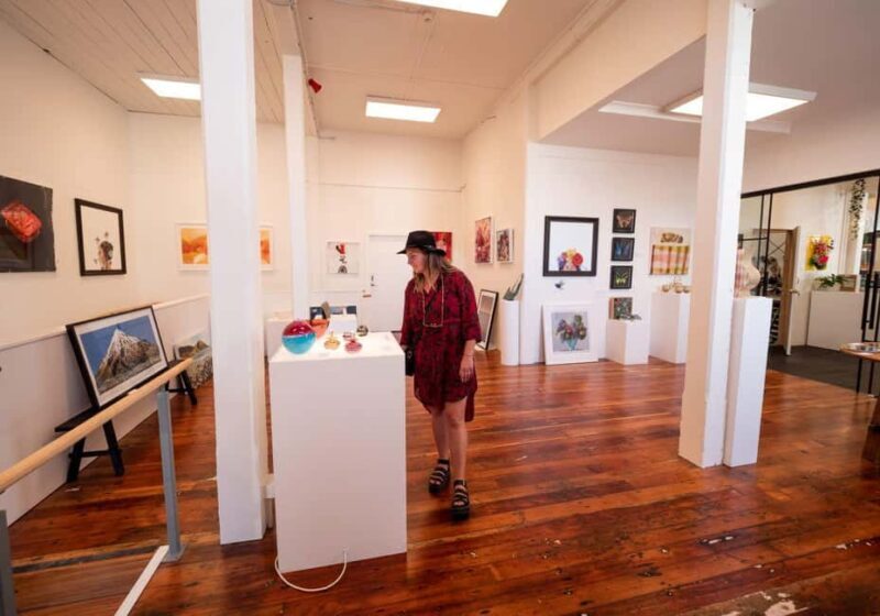 Nelson: Wine and Art Tour with Tastings and Lunch - Key Points