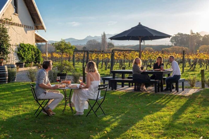 Nelson: Wine and Art Tour with Tastings and Lunch - Exploring Nelson: A Fusion of Art, Wine, and Scenery