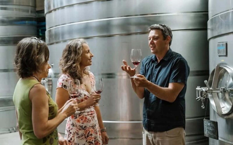 Nelson: Wine Tour with Tastings and Lunch - An In-depth Look at the Nelson Wine Tour Experience