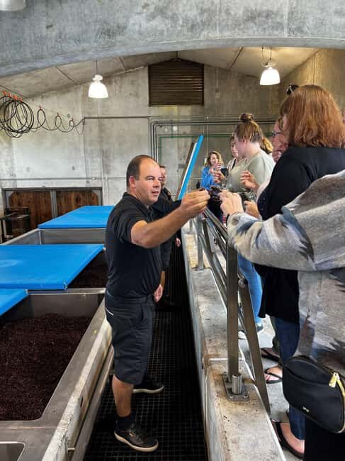 Nelson: Wine Tour with Tastings and Lunch - Authenticity and Quality of the Experience