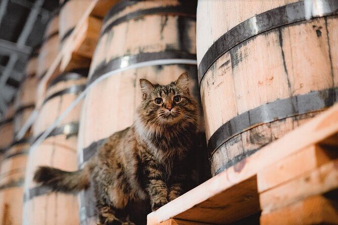 Nelson's Green Brier Distillery Guided Tour with Tastings - The Sum Up
