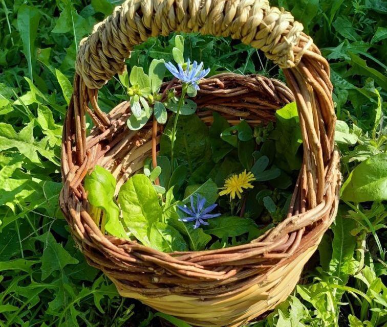 Nemi: Herb Harvesting and Cooking Class Experience - FAQ