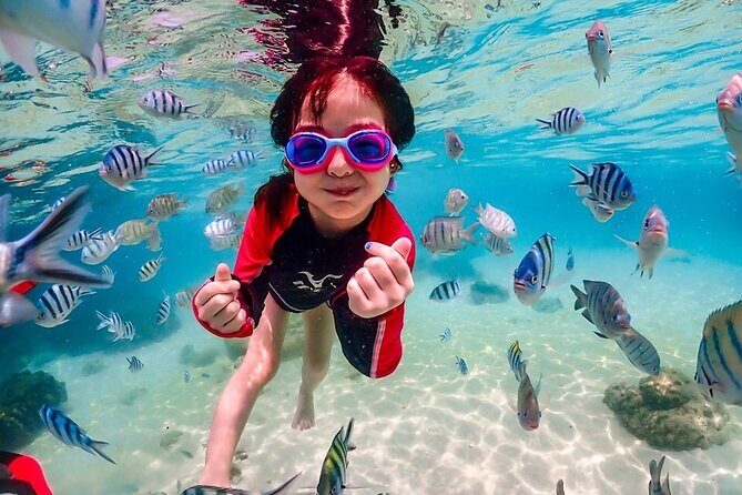 Nemo Island and Big Buddha Mountain Snorkeling from Bangkok - An In-Depth Look at the Tour Experience