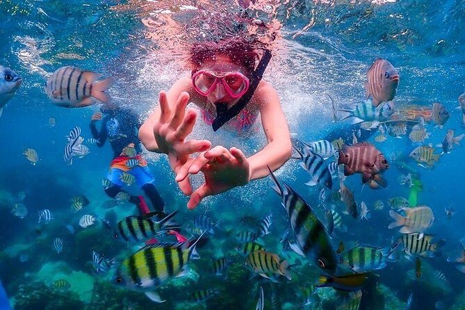 Nemo Island Experience with Drone Photos and Lunch - Who Will Love This Tour?