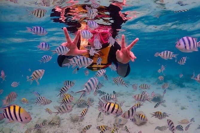 Nemo Island Experience with Drone Photos and Lunch - FAQs