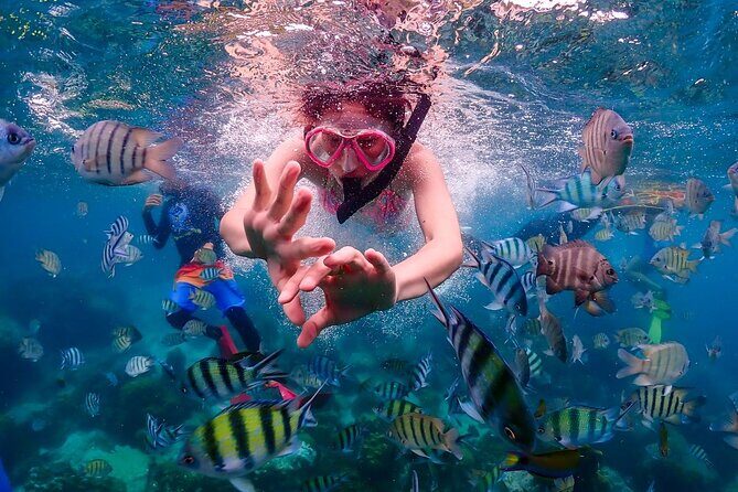 Nemo Island Full Day Tour by Speedboat with Snorkeling Experience - Key Points